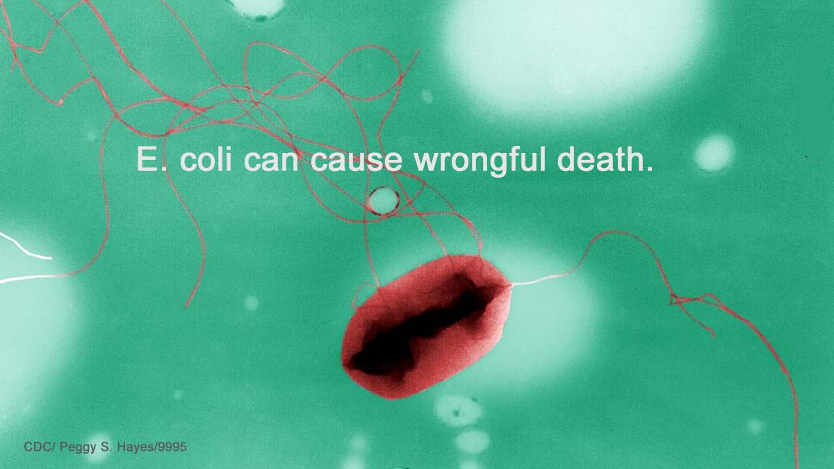 E. coli Wrongful Death | Lawyer and Lawsuit against Food Company