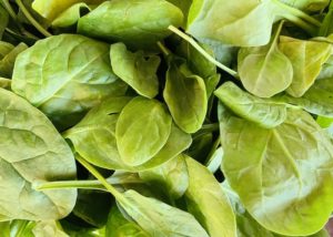 Spinach Listeria Recall Includes Full Circle, Bogopa, Solata...