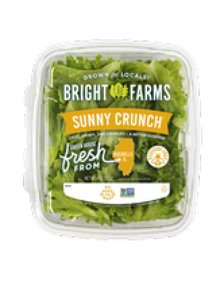 Salmonella in BrightFarms Sunny Crunch Salad Sickens 5 in IL